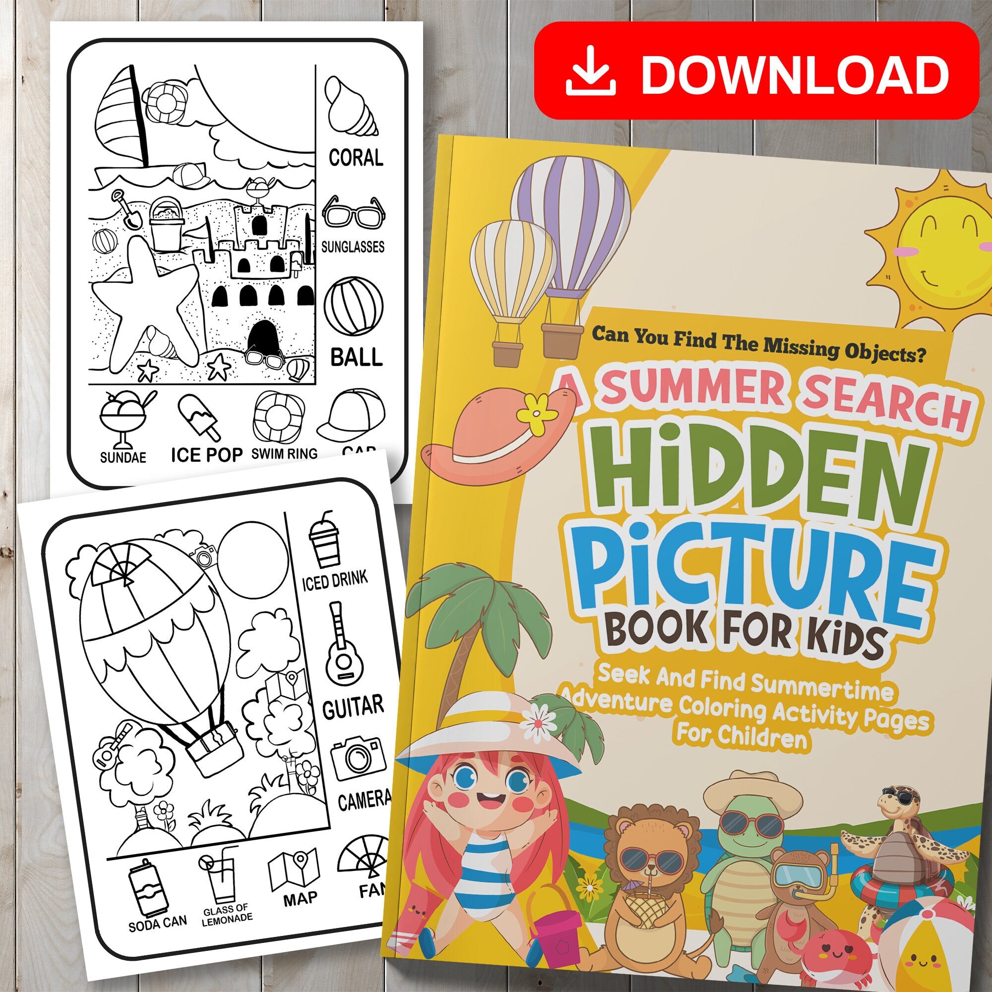 BEST VALUE Can You Find the Missing Objects? A Summer Search Hidden ...