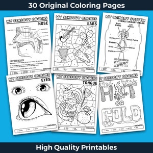 30 Human Body Color by Numbers Human Body Coloring Book Anatomy ...