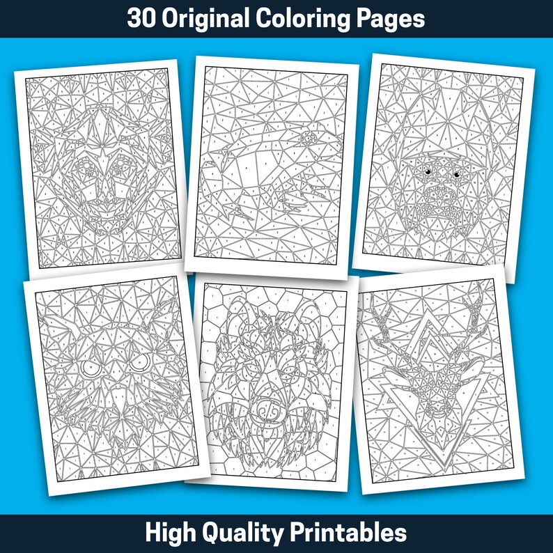 BEST VALUE Majestic Forest Wildlife Coloring Book - A Color by Number ...