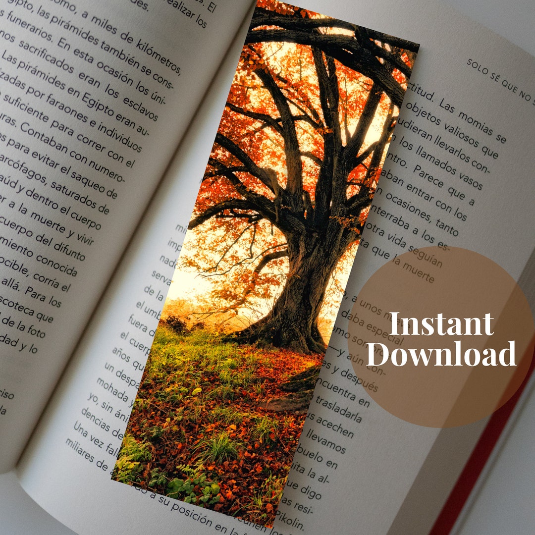 BEST VALUE Printable Bookmarks Set of 3, Autumn Bookmark Page -instant ...