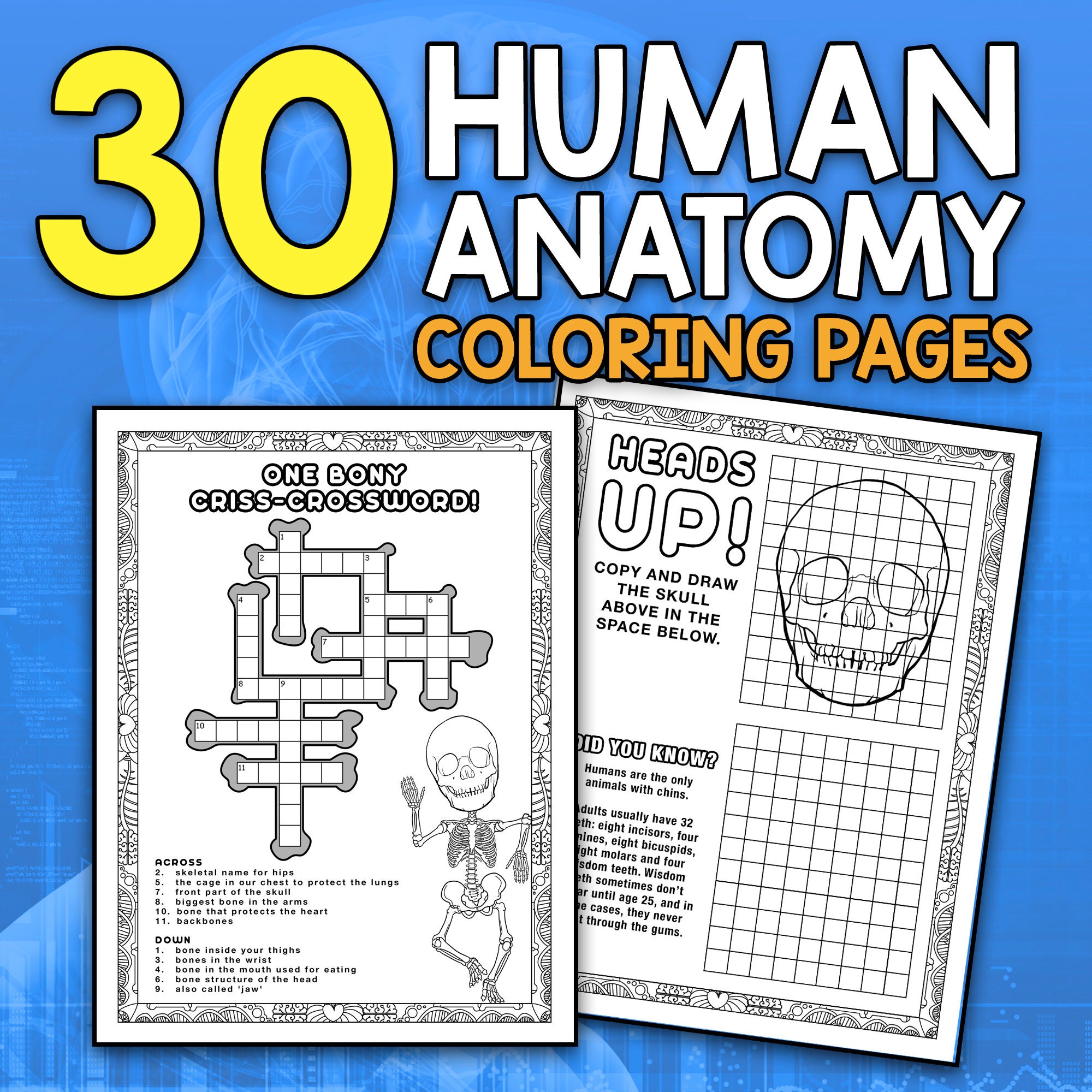 BEST VALUE My First Anatomy Coloring Book - Educational Human Anatomy ...