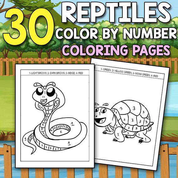 BEST VALUE Reptiles Color by Number Ages 4-8 30 Printable - Etsy