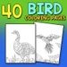 40 Bird Patterns Coloring Book for Adults Beautiful Bird Coloring Book ...