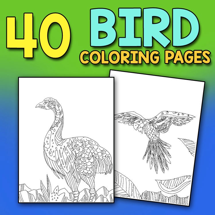 40 Bird Patterns Coloring Book for Adults Beautiful Bird - Etsy