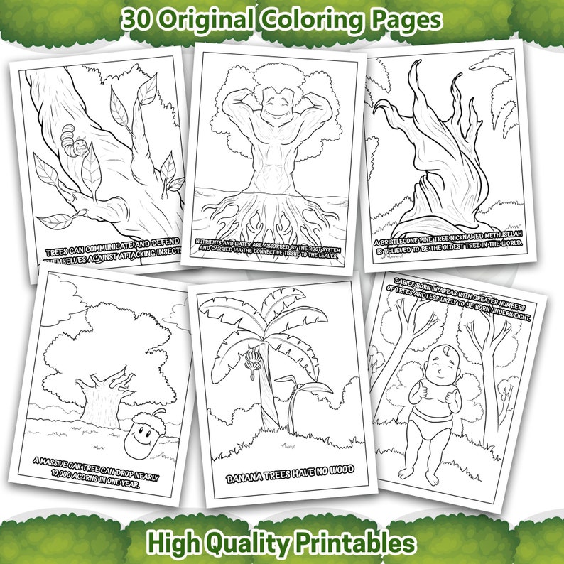 BEST VALUE 30 All About Trees Coloring Book - Instant Download ...