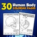 30 Human Body Color by Numbers Human Body Coloring Book Anatomy ...