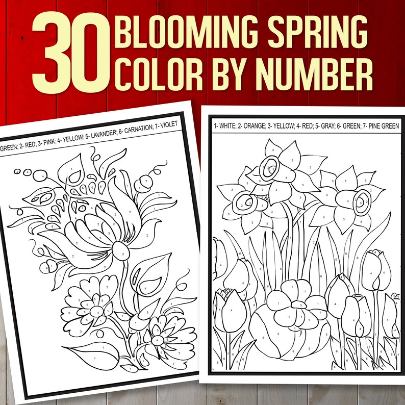 BEST VALUE Spring Color by Numbers for Adults Instant - Etsy