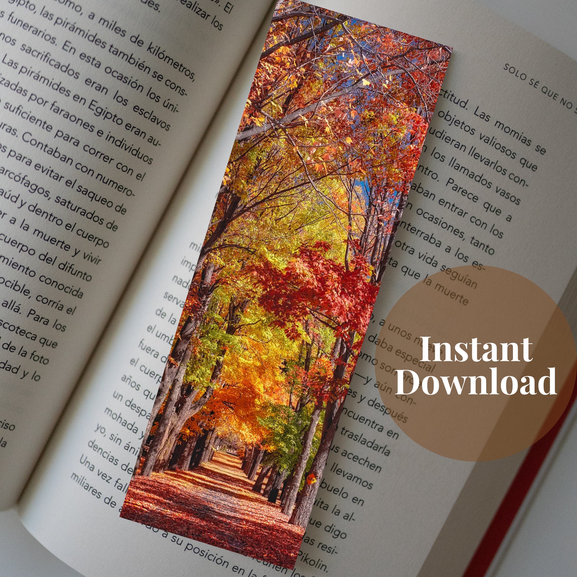 BEST VALUE Printable Bookmarks Set of 3, Autumn Bookmark Page instant ...