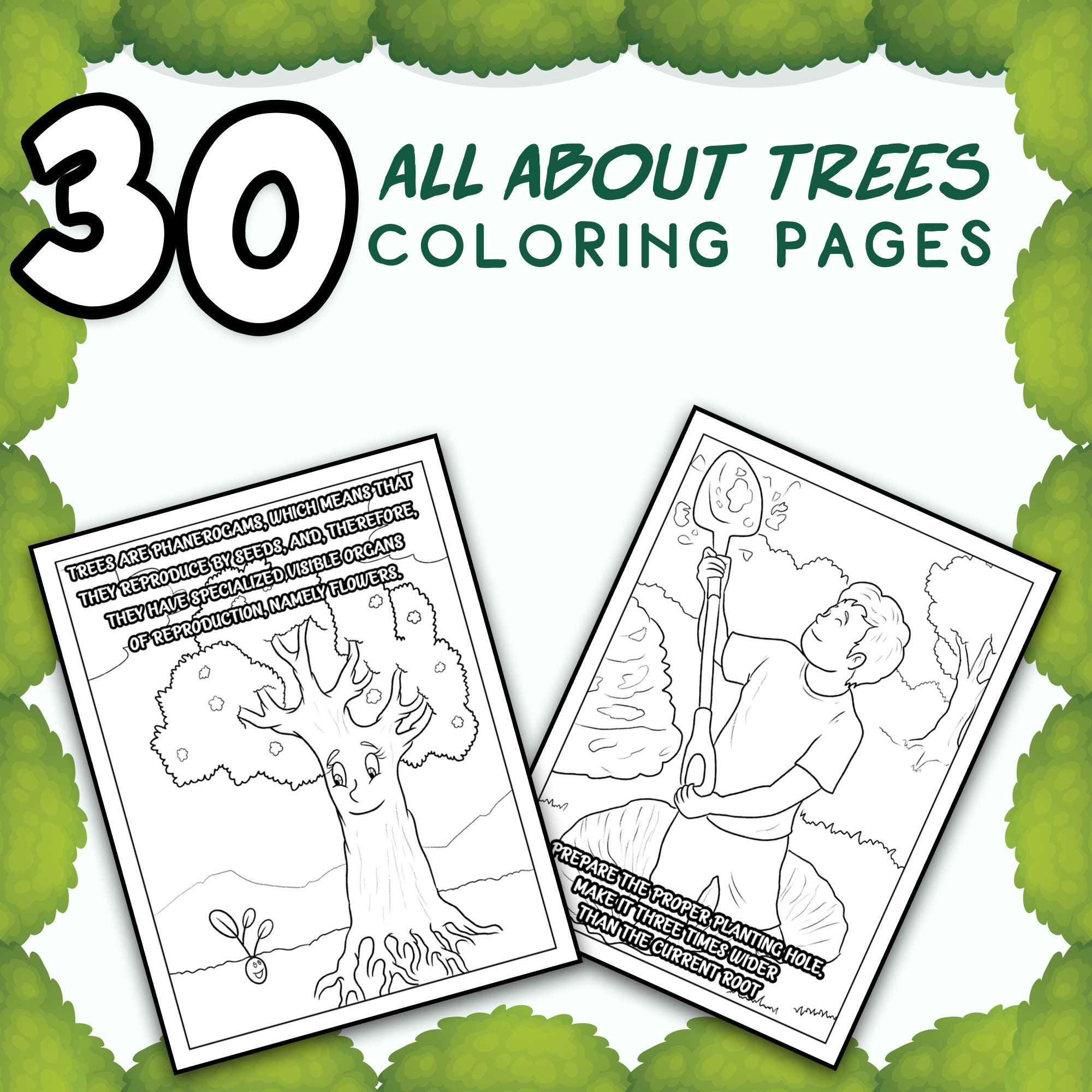 BEST VALUE 30 All About Trees Coloring Book - Instant Download ...