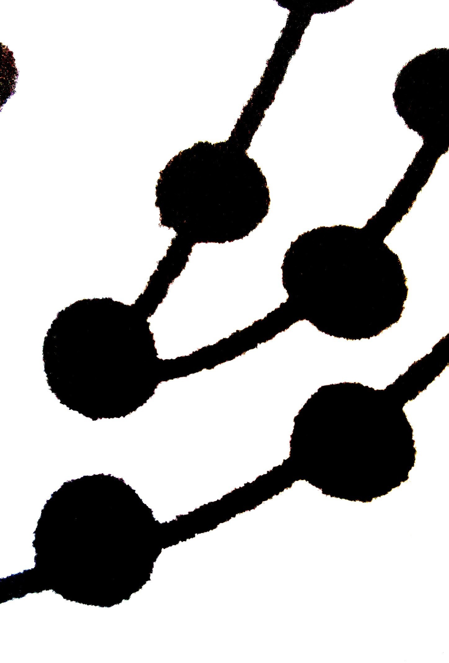 Deer Buck Head String Art Template Pattern With Directions - Etsy