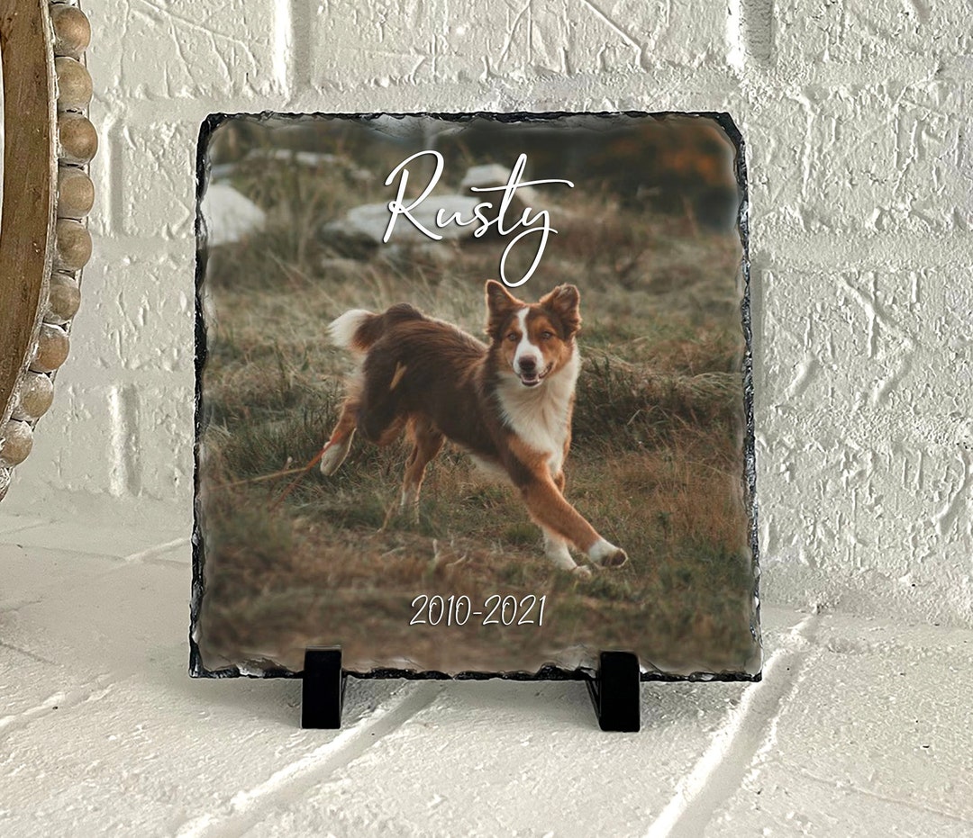 Pet Memorial, in Loving Memory Pet Gift, Personalized Pet Memorial, Pet ...