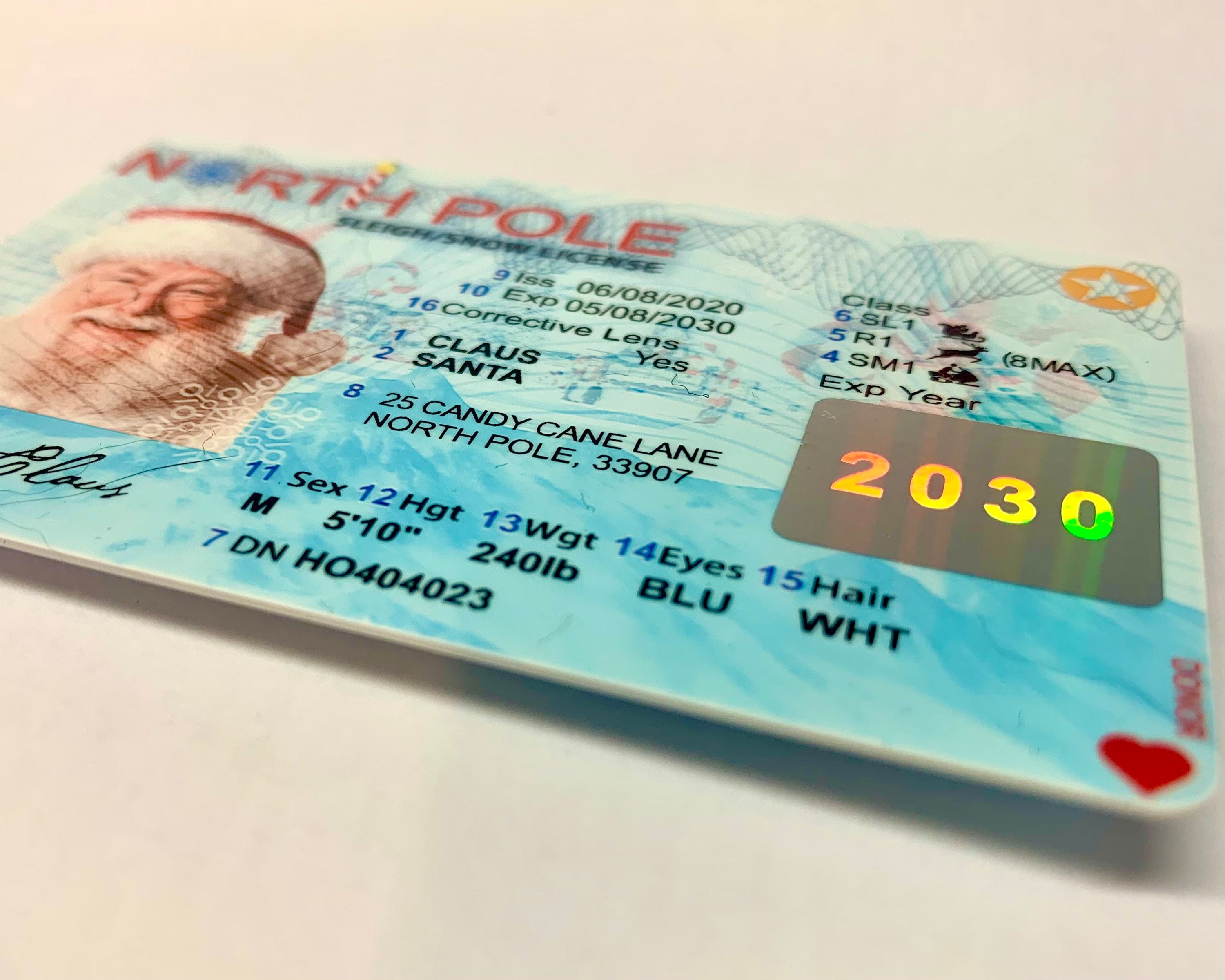 The Official Lost Santa Licence / Sleigh License / Pilot - Etsy
