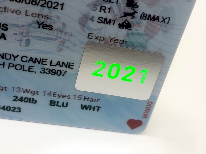 The Official Lost Santa Licence / Sleigh License / Pilot | Etsy