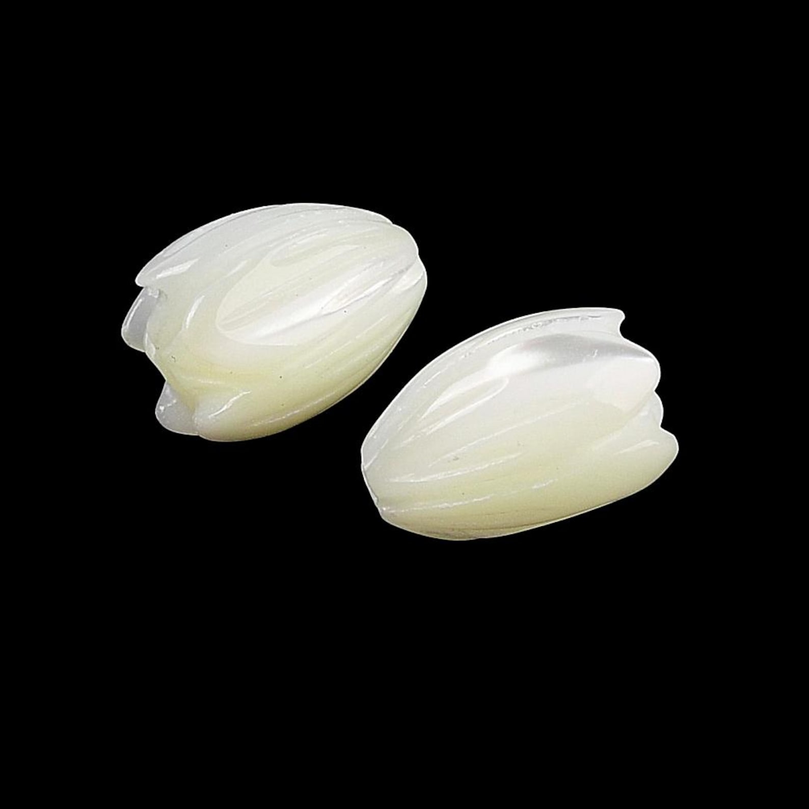 1–5pcs Natural Trochus Shell Flower Beads | Half-drilled Tulip Beads ...