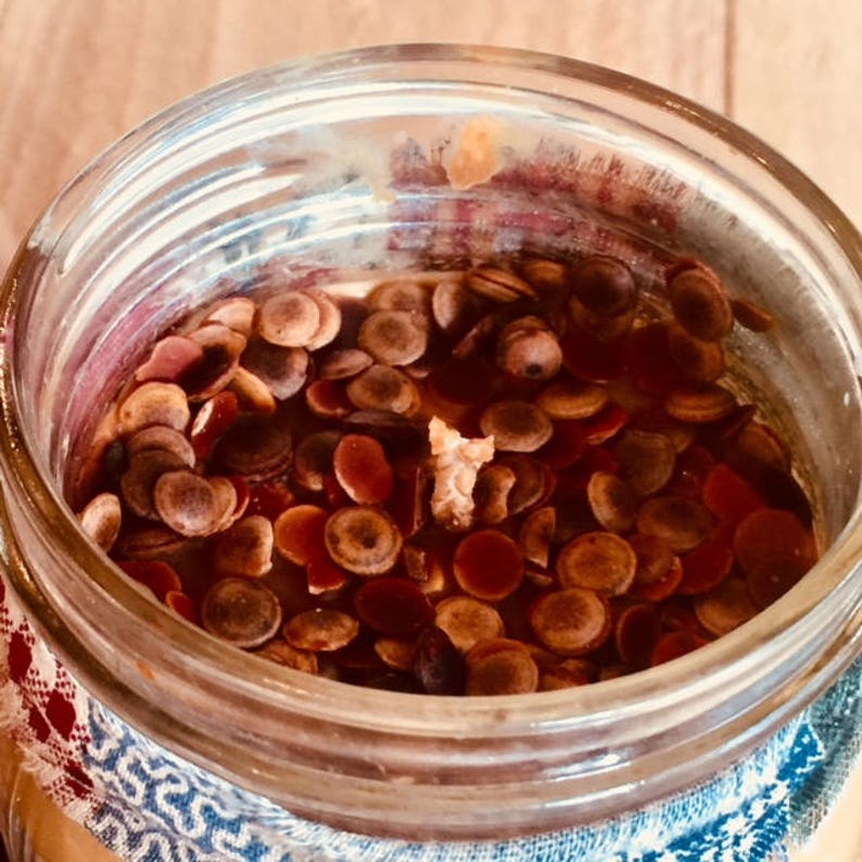 Hillbilly Homebrew Pure Organic Soy Candle /large Pint 16 Oz/ Half Pint ...