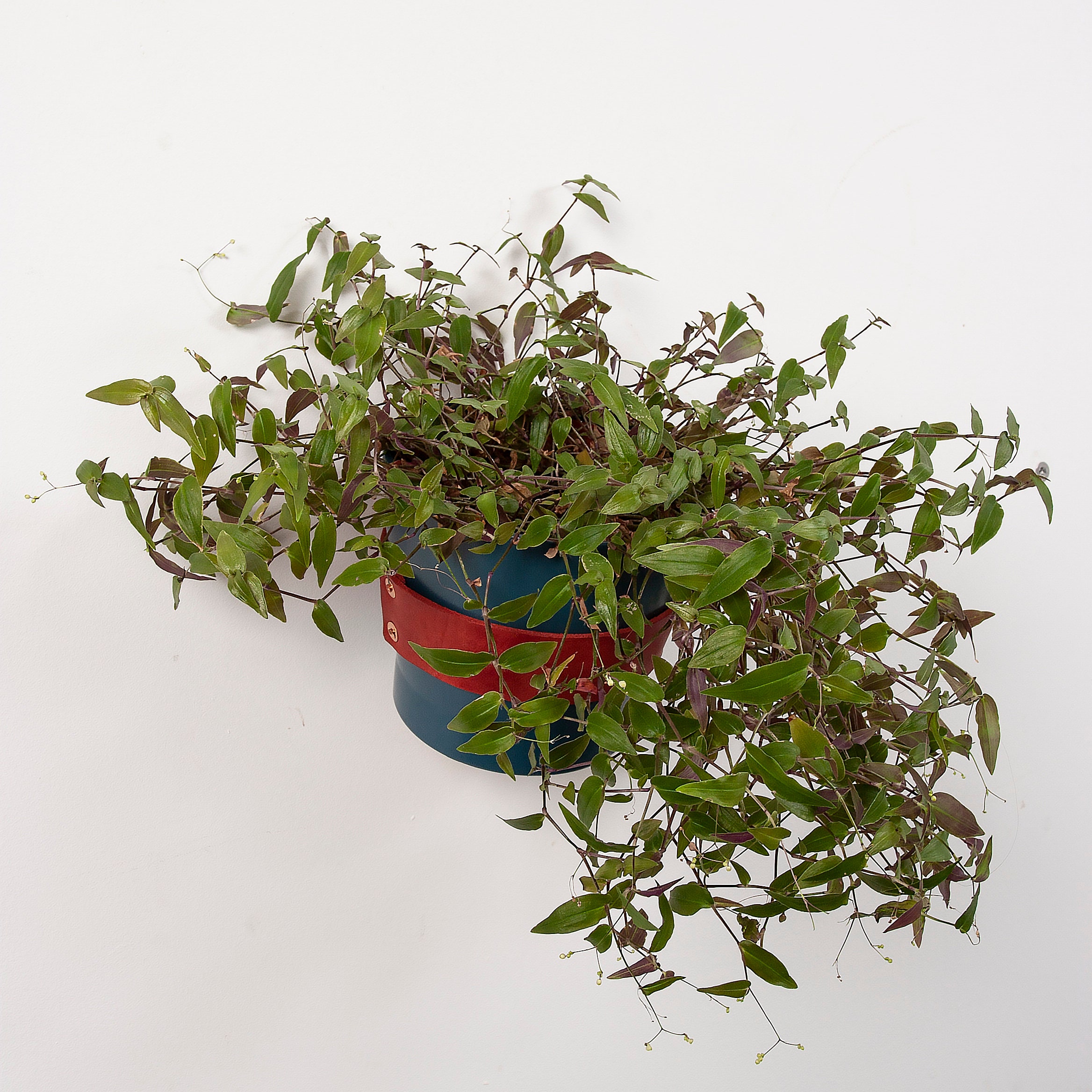 Leather Wall Planter Red, Indoor Hanging Plant, Wall Planter, Minimal ...