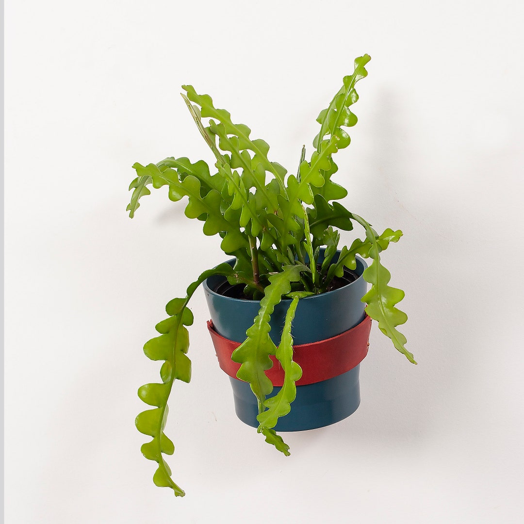 Leather Wall Planter Red, Indoor Hanging Plant, Wall Planter, Minimal ...