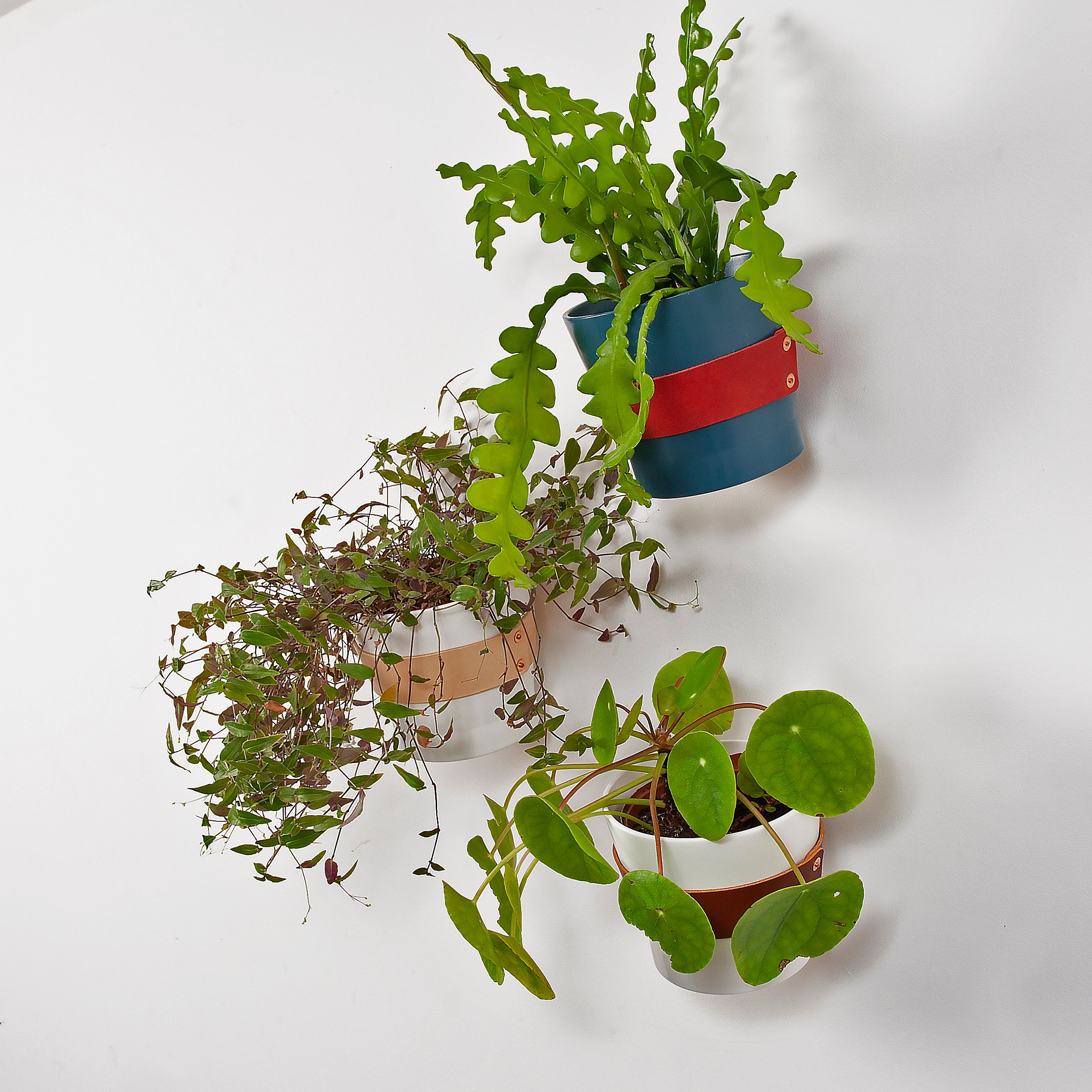 Leather Wall Planter Red, Indoor Hanging Plant, Wall Planter, Minimal ...