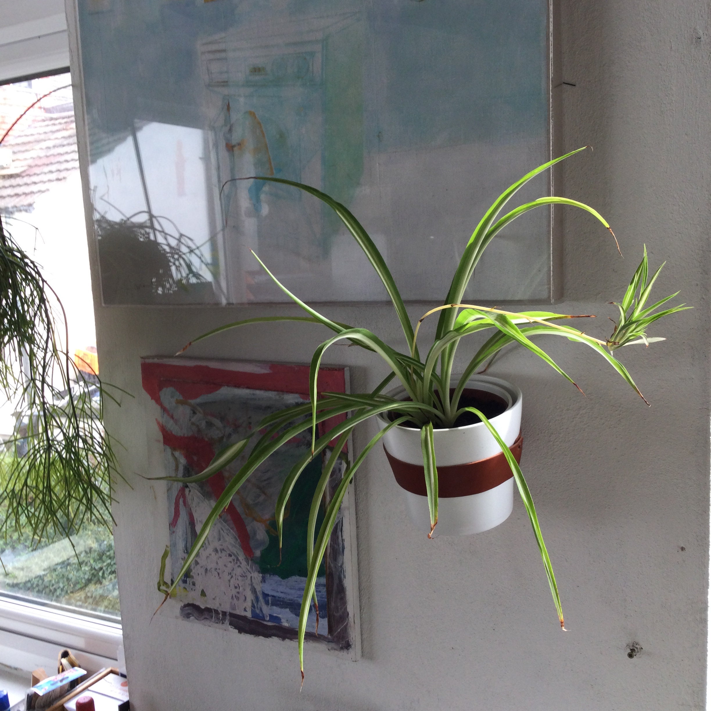 Leather Wall Planter Red, Indoor Hanging Plant, Wall Planter, Minimal ...