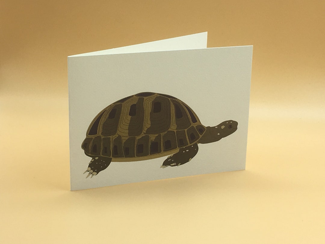 Tortoise Card, Pet Animal, Animal Birthday Card, Animal Lover, Animal ...