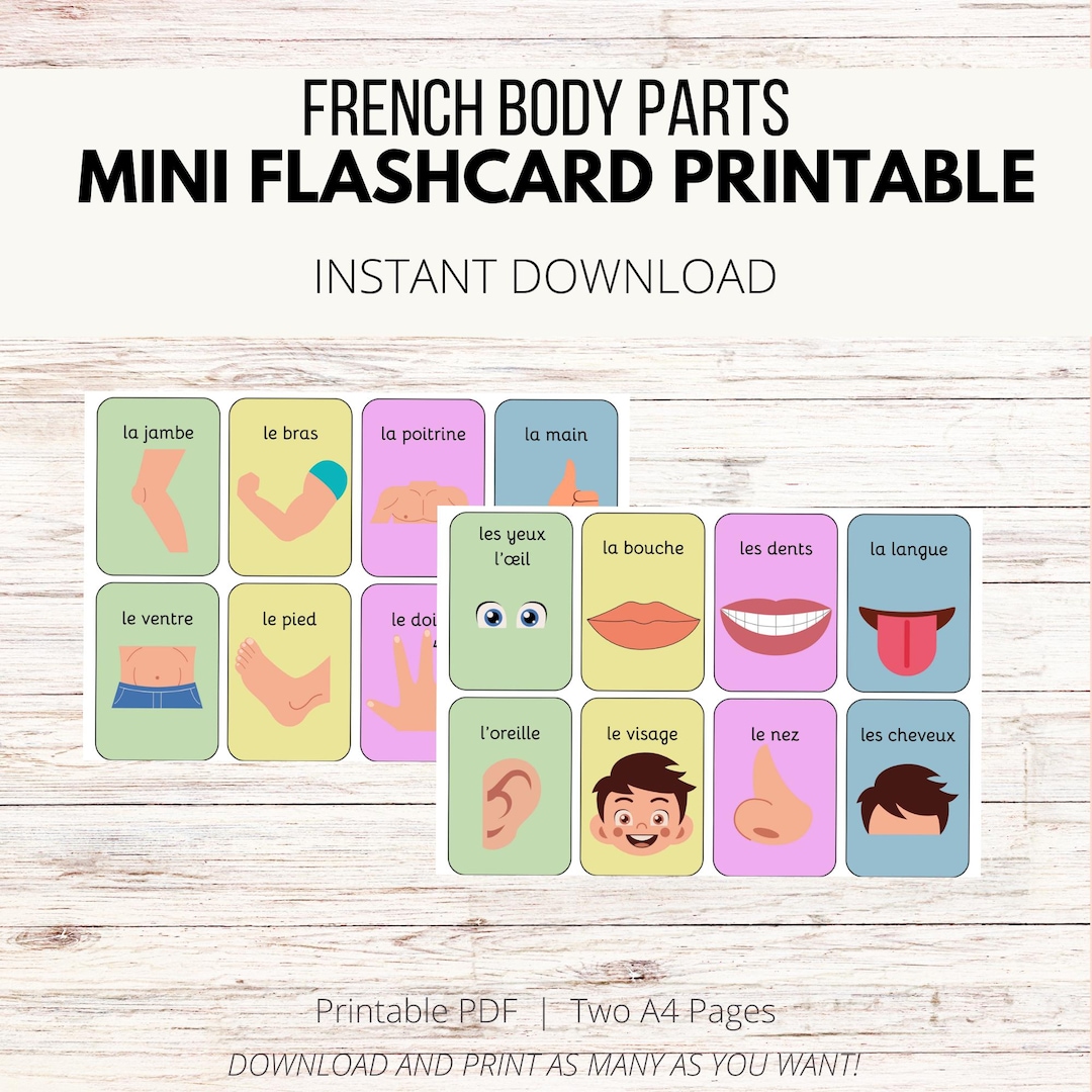 French Body Parts Language Learning Flashcards Classroom Wall Display ...