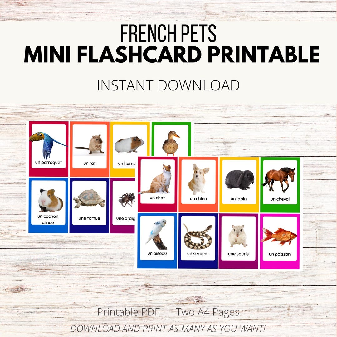French Teacher Pets Mini Flashcards Classroom Wall Display Printable - Etsy