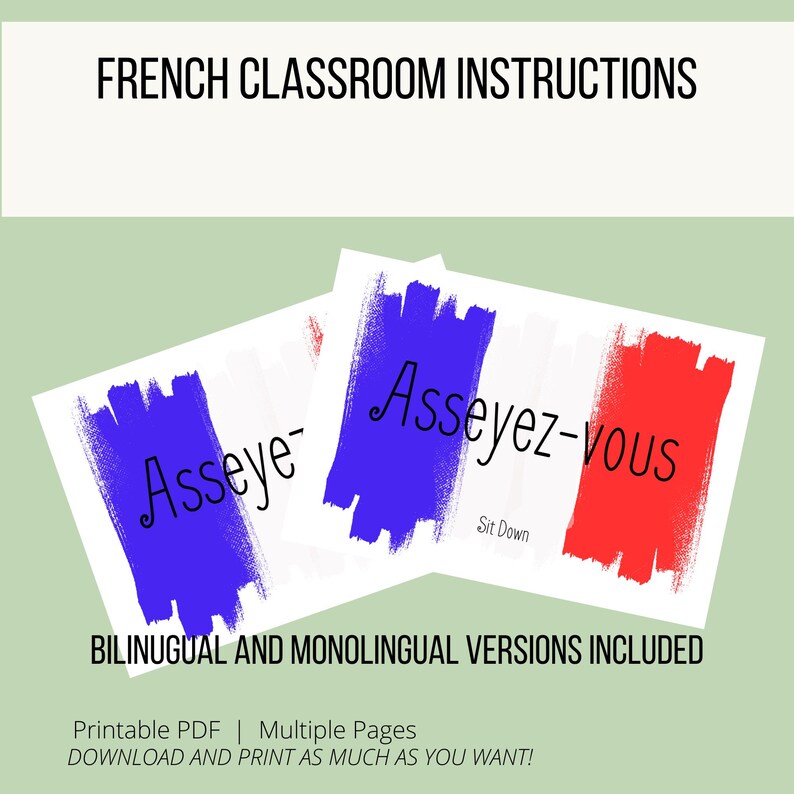French Classroom Instructions Wall Display Flashcards - Etsy