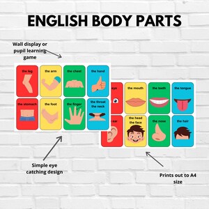 English Language Teacher Body Parts Mini Flashcards Classroom Wall ...