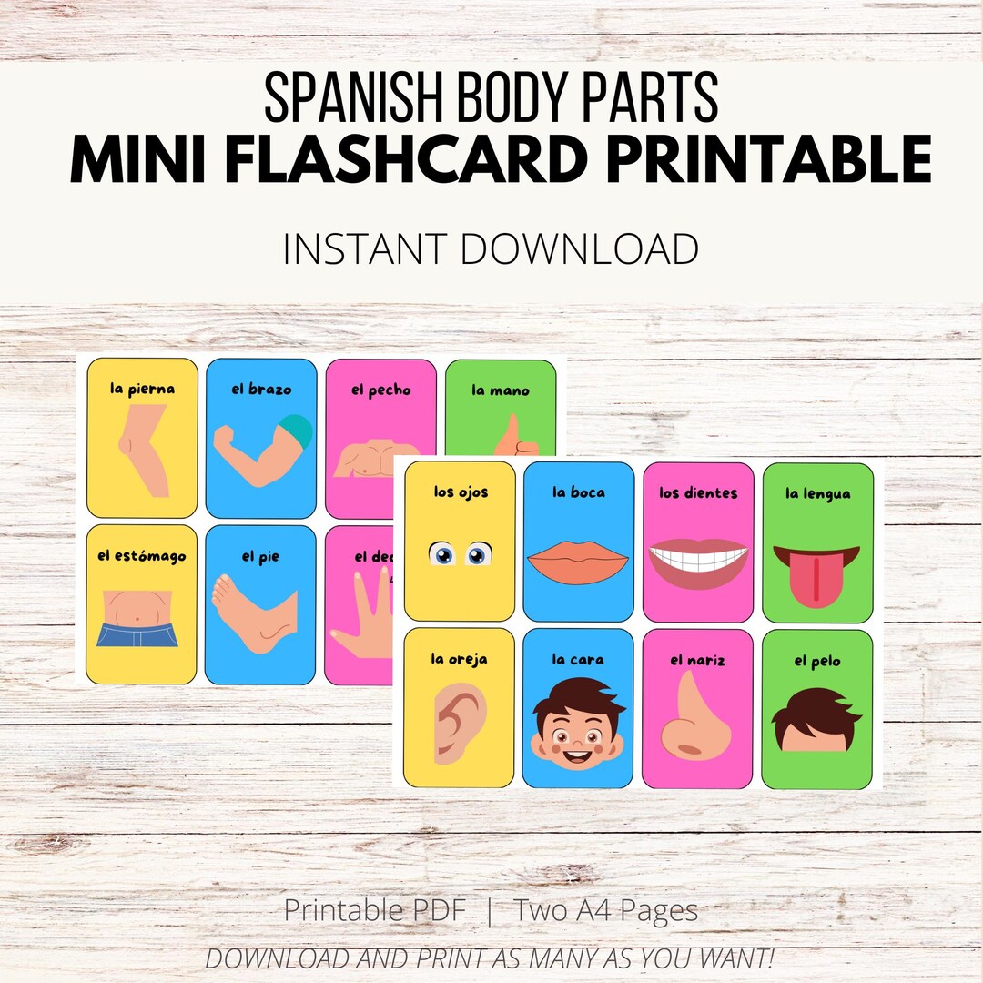 Spanish Teacher Body Parts Mini Flashcards Classroom Wall Display ...