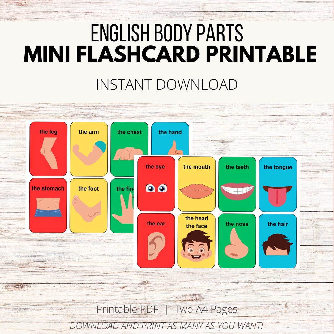English Language Teacher Body Parts Mini Flashcards Classroom Wall ...