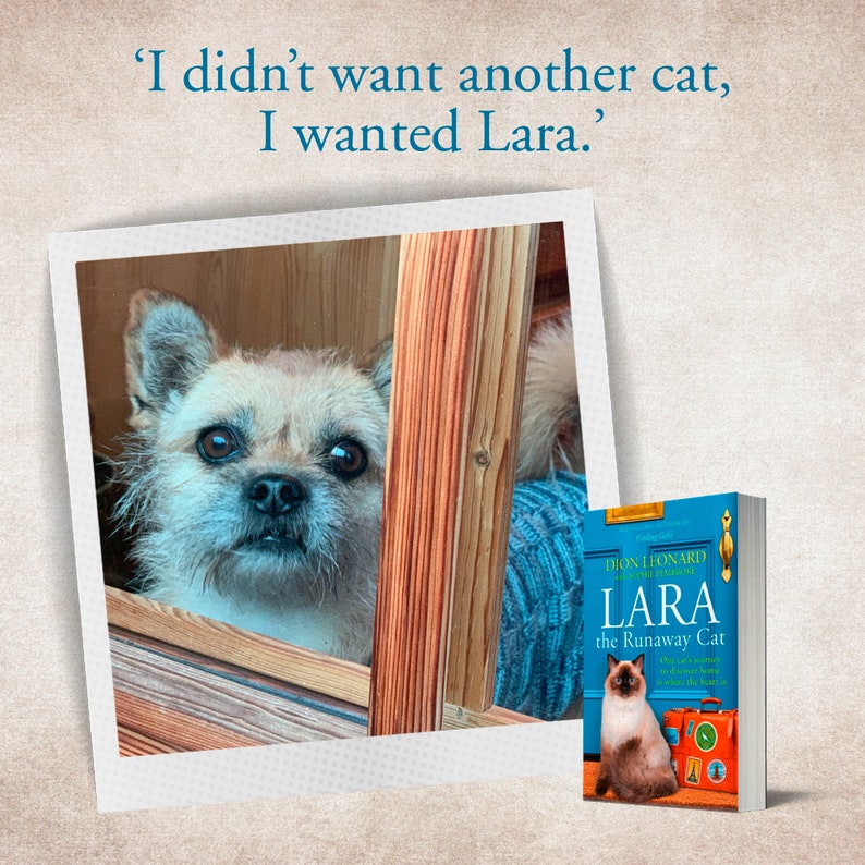 Lara the Runaway Cat Paperback Edition Autographed and Pawtographed - Etsy