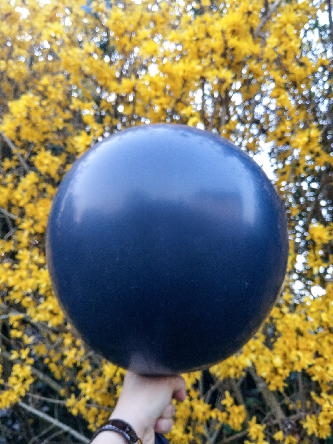 Navy Balloons Wedding Bridal Centerpiece Large Balloons - Etsy