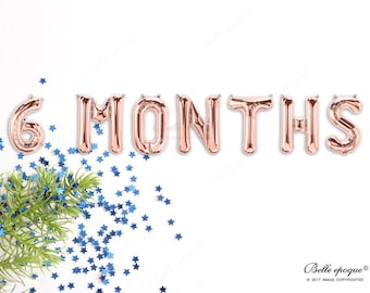 6 Months Banner | Etsy