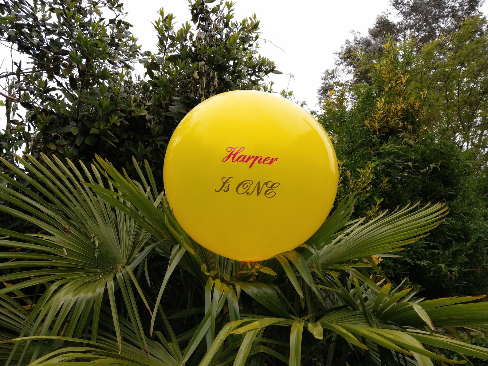 Custom Name Balloon Vinyl Name Custom Balloons Balloon - Etsy