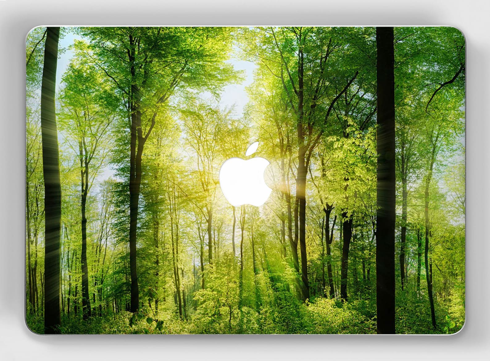 Sunny Forest A1502 MacBook Nature Skin MacBook Air 13 Tree MacBook ...