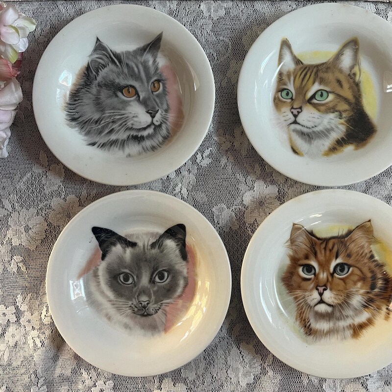Cat Plate - Etsy