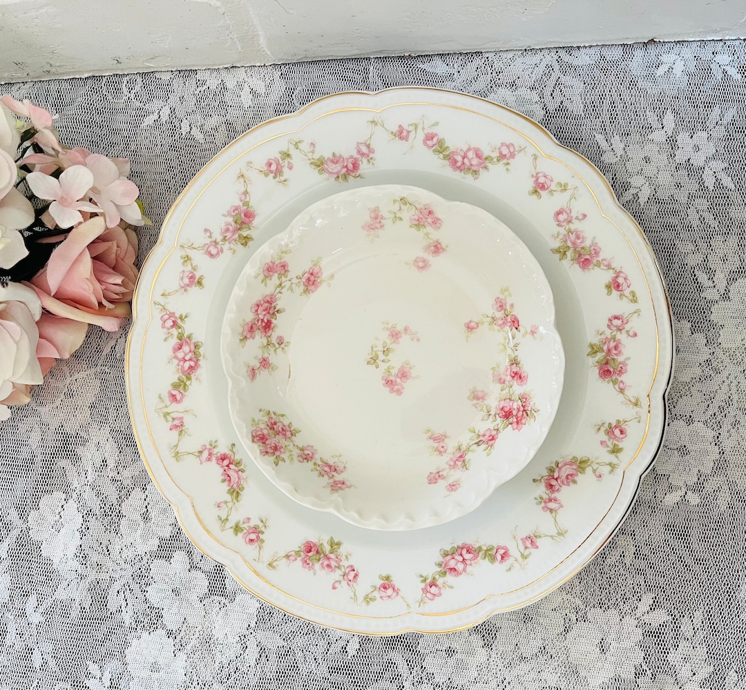 Pretty Set of Vintage Roses Plate & Bowl - Etsy
