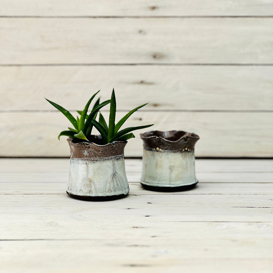 Wavy Rim Ceramic Succulent Planter With Drainage - Etsy