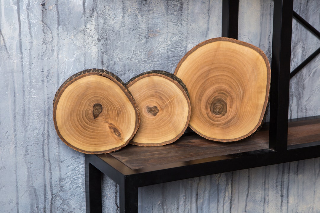 Walnut Wood Slice. Tray for Decoration, Photo Backdrop for Food. - Etsy