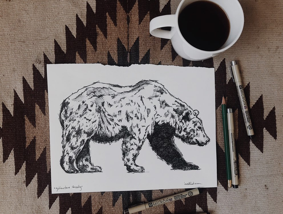 Grizzly Bear Sketch, Original Artwork by Heidi Ruckman, Fine Art Print ...