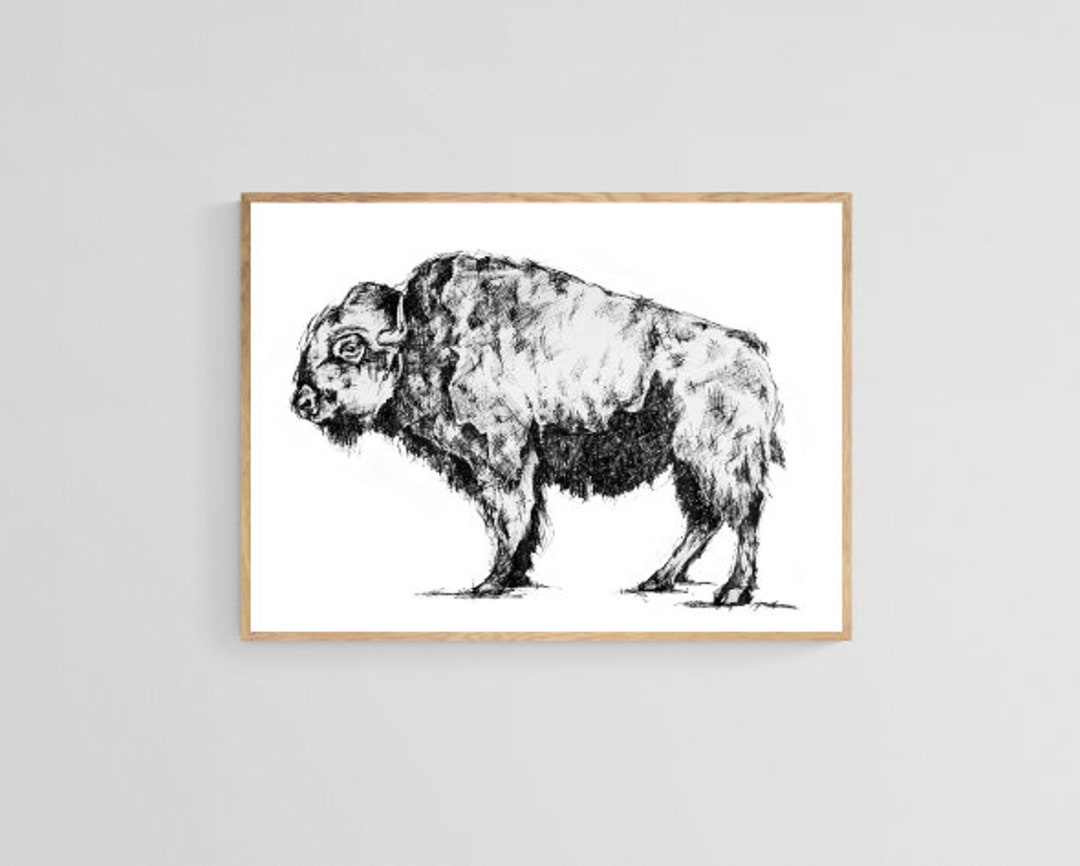 Bison Sketch, Original Artwork by Heidi Ruckman, Fine Art Print - Etsy