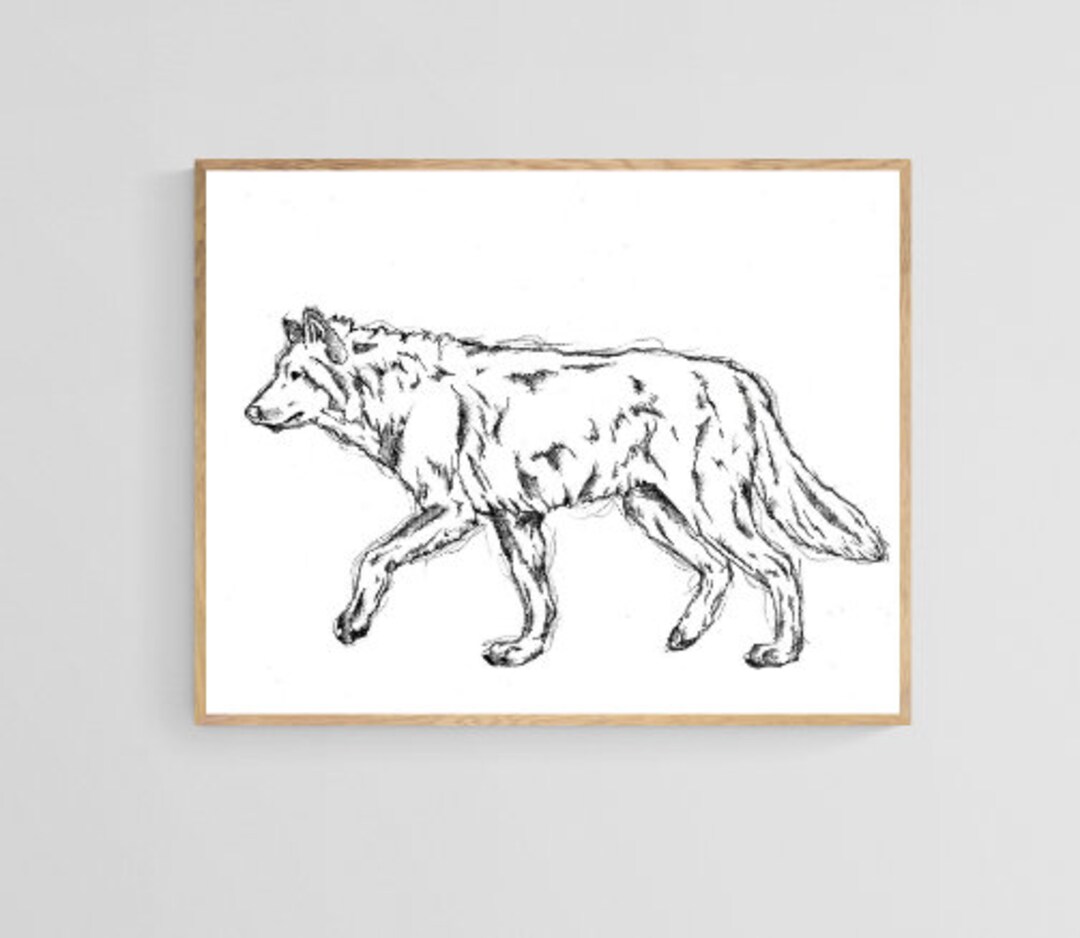 Wolf Sketch, Original Artwork by Heidi Ruckman, Fine Art Print - Etsy