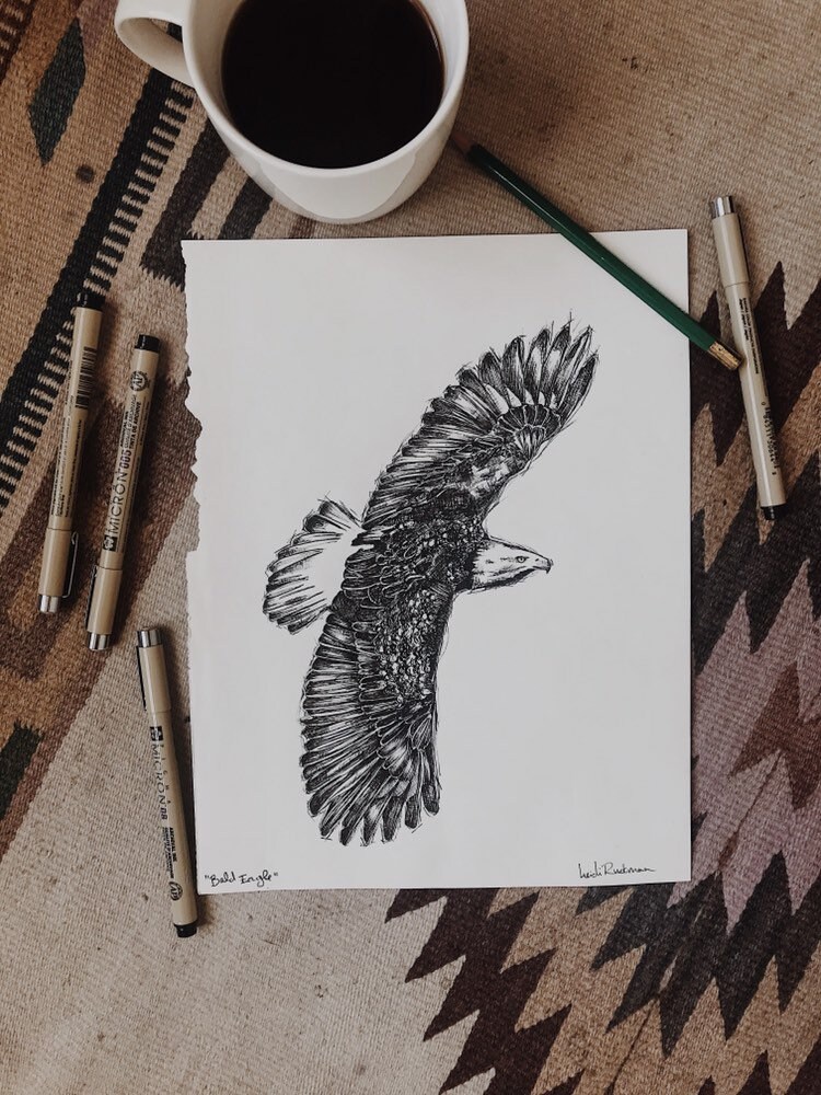 Bald Eagle Sketch, Original Artwork by Heidi Ruckman, Fine Art Print - Etsy