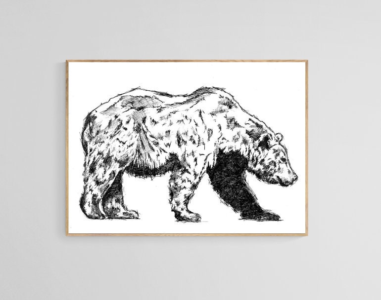 Grizzly Bear Sketch, Original Artwork by Heidi Ruckman, Fine Art Print ...
