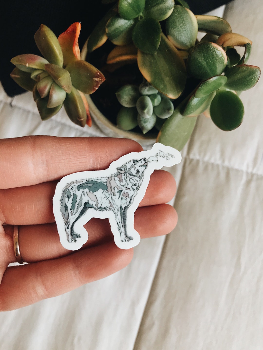 Sea Wolf Sticker, Original Artwork by Heidi Ruckman - Etsy