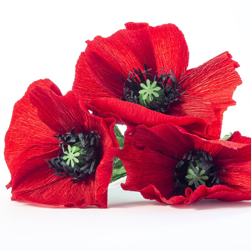 Paper Poppies - Etsy