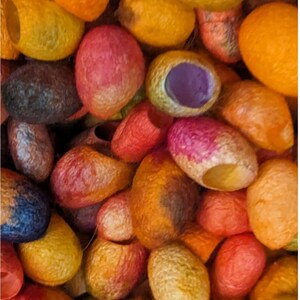 SILK COCOONS Packs of 5 or 10, Dyed Packs, Pictures Are for Color ...