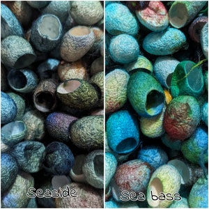 SILK COCOONS Packs of 5 or 10, Dyed Packs, Pictures Are for Color ...