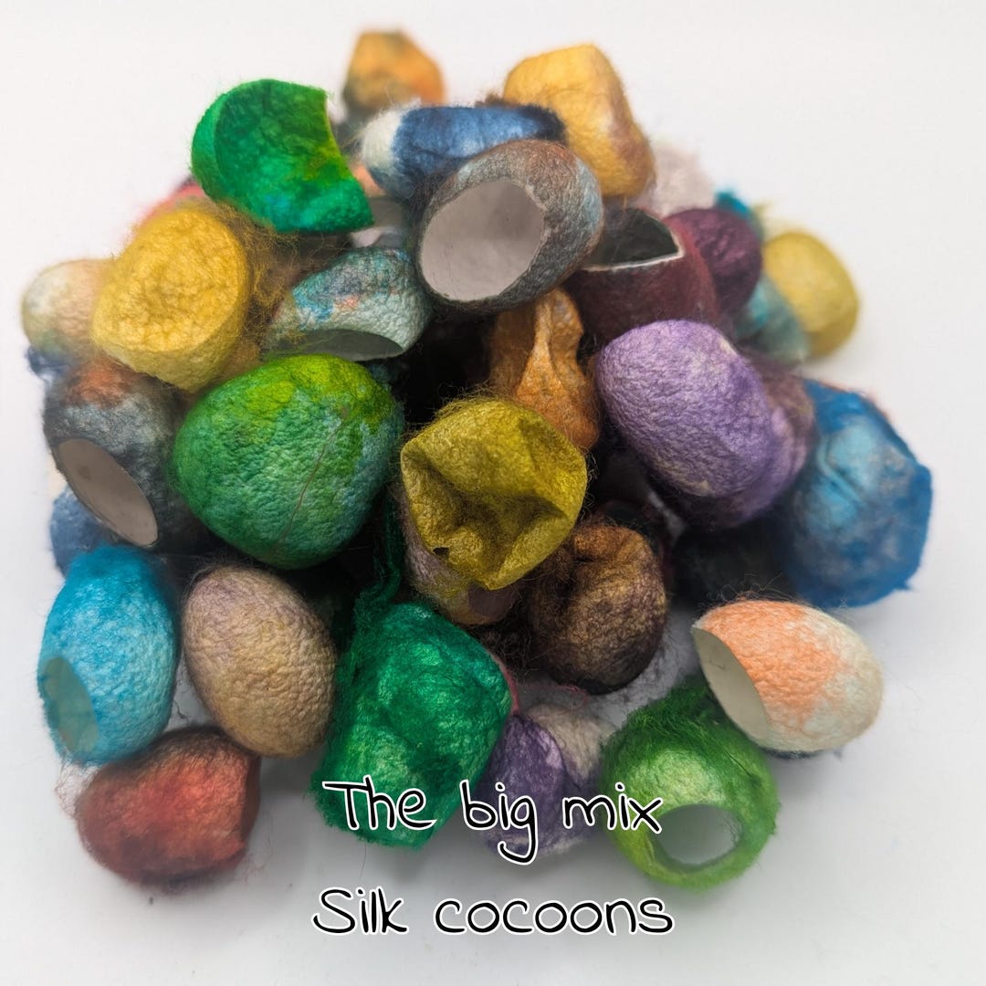 SILK COCOONS Big Mix of 24. Mixed Colour, Mixed Sizes, Include Ones ...