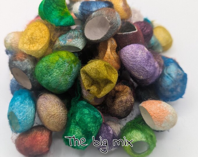 SILK COCOONS Big Mix of 24. Mixed Colour, Mixed Sizes, Include Ones ...